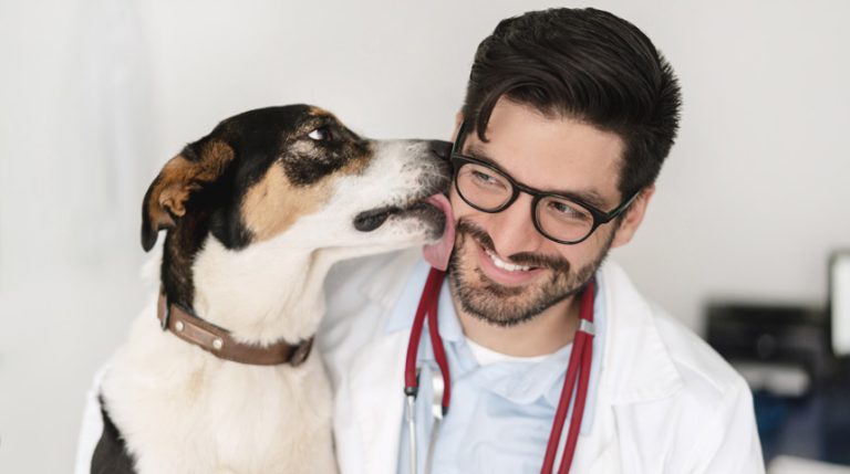 Hôpital Vétérinaire de la Montérégie - Vet et Nous