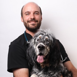 Clinique Vétérinaire Cimon • Vanier - Vet et Nous